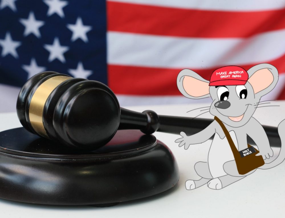 DC Judges Series: Judge Dabney L. Friedrich - J6PatriotNews