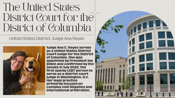 DC Judges Series: Judge Ana C. Reyes - J6PatriotNews