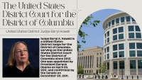 DC Judges Series: Judge Beryl Howell - J6PatriotNews
